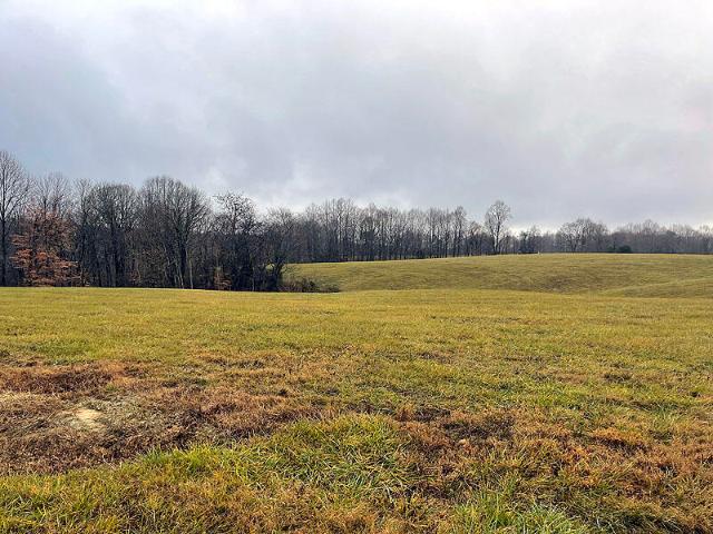 Lot 41 Stillwater