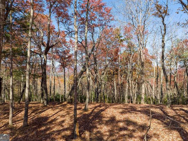 LOT 41 Preserve Trail