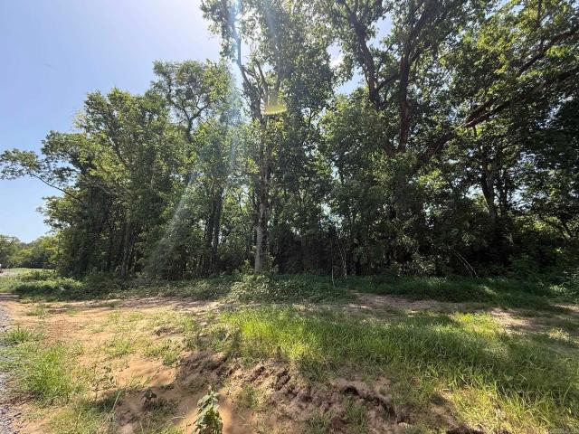 Lot 41 Up River