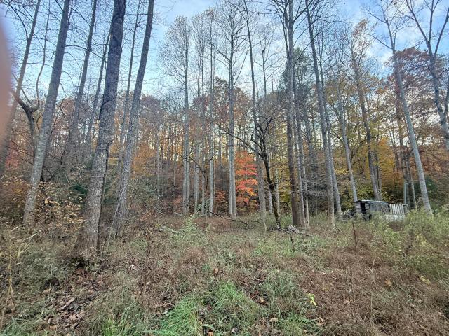 Lot 42/43 Deerfoot Road