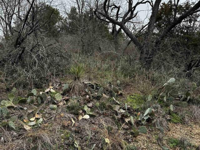 Lot 424 E Castlewood Dr, Granite Shoals, TX 78654 | MLS #167198 | Compass