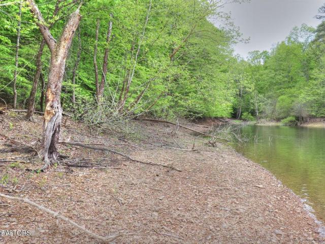 Lot 427 Mountain Shores Rd