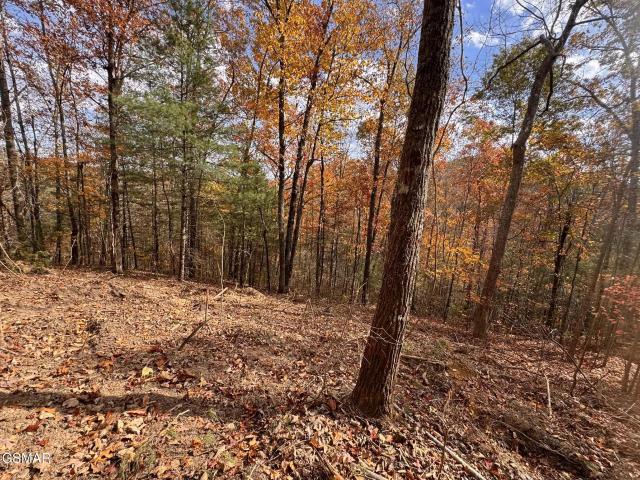 Lot 42 Cedar Falls Way