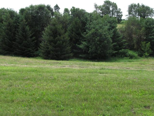 LOT 42 Crossing Meadows Dr