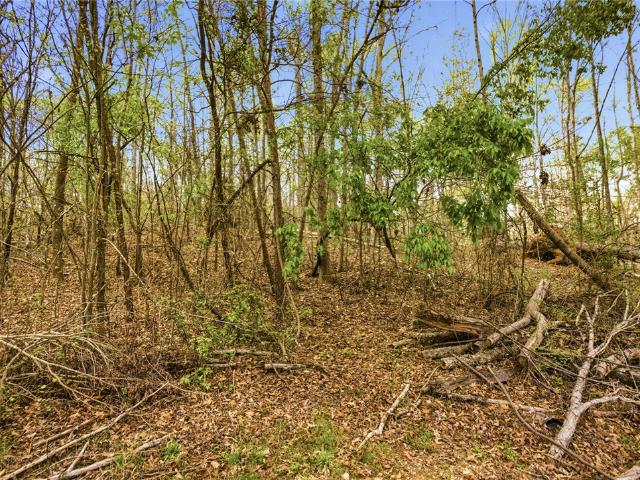 Lot 42 Brandywine Drive
