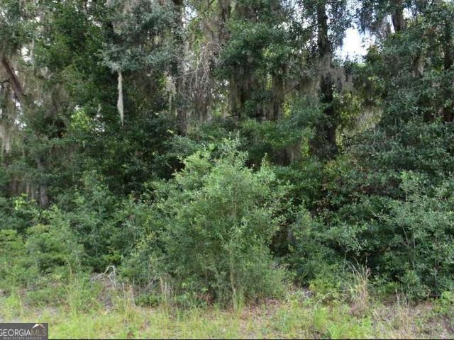 LOT 42 Japonica Drive