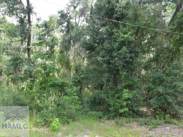 Lot 42 Japonica Drive