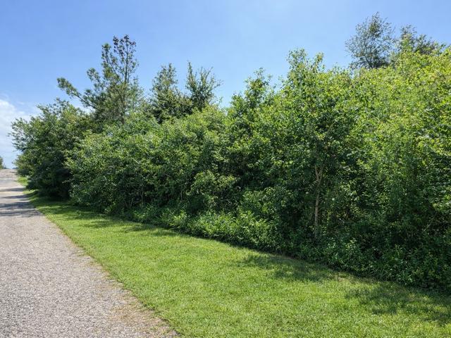 Lot 42 Linger Lane