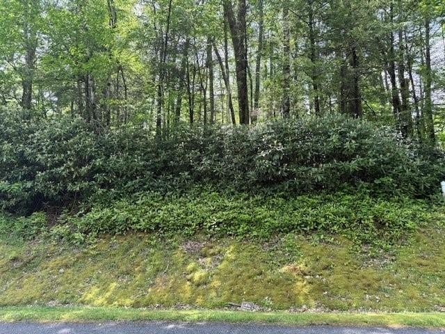 Lot 42 Linville River Lane