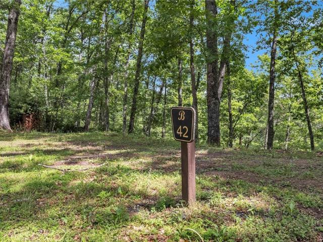 Lot 42 Smoke Rise Path