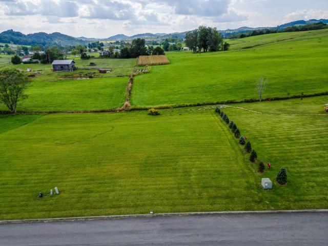 Lot 42 Walnut Grove Drive