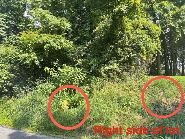 Lot 42 Vista Valley Rd