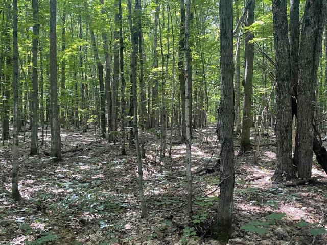 Lot 437 Northwood Drive # Lot: 437