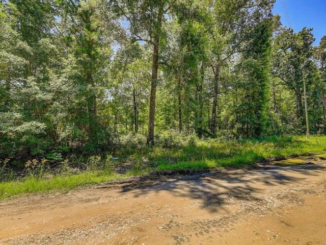 Lot 432 Parkpine St, Livingston, TX 77351 | MLS #58049