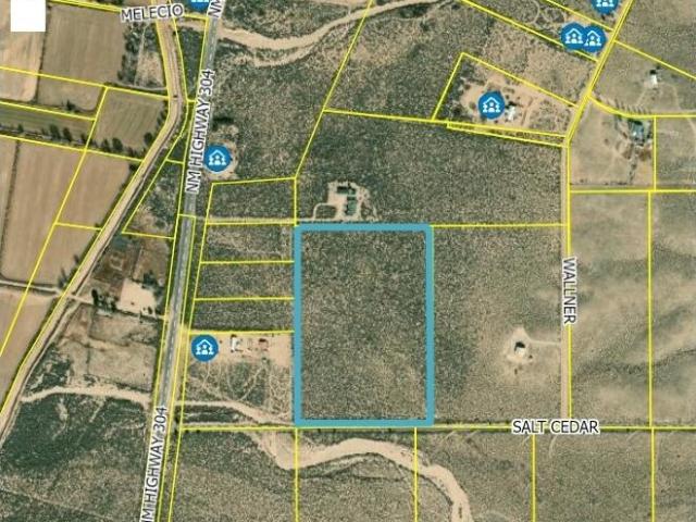 Lot 43