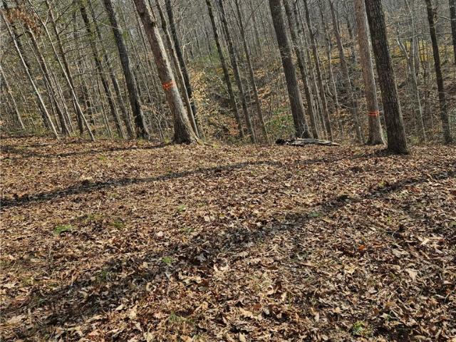 Lot 43 c@kfs High Ridge, Salem, SC 29676 | MLS #20297