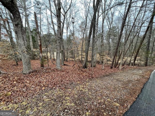 LOT 43 Chickasaw Drive