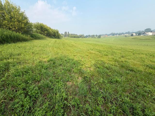 Lot 43 Bluestem Ln