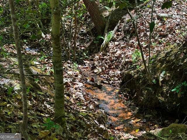 LOT 43 Edgewood Trail
