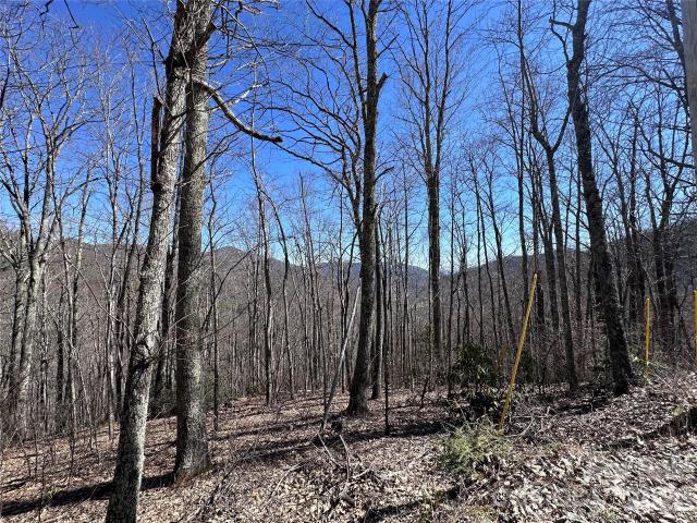 Lot 43 Huckleberry Drive
