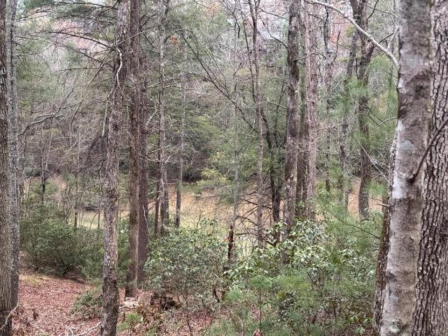 Lot 43 Seneca Dr, Ellijay, GA 30540 | MLS #429306