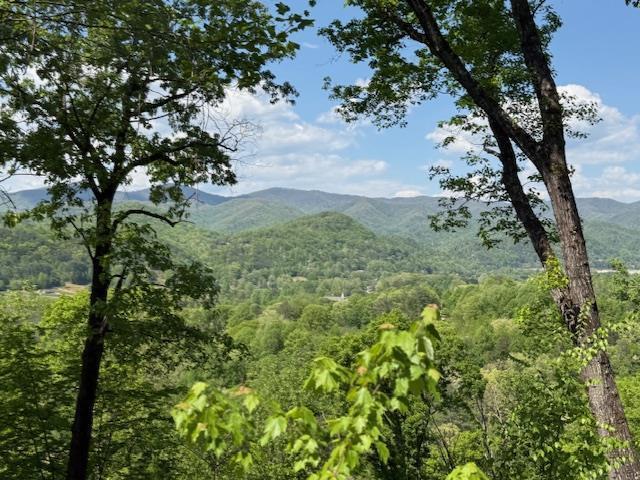 Lot 43 Silo View # 43