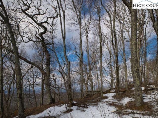 Lot 43 Summit Trail