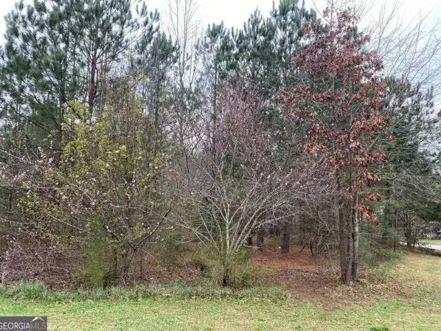 Lot 43 Patriot Cicle, Mc Donough, GA 30252 MLS 10286372