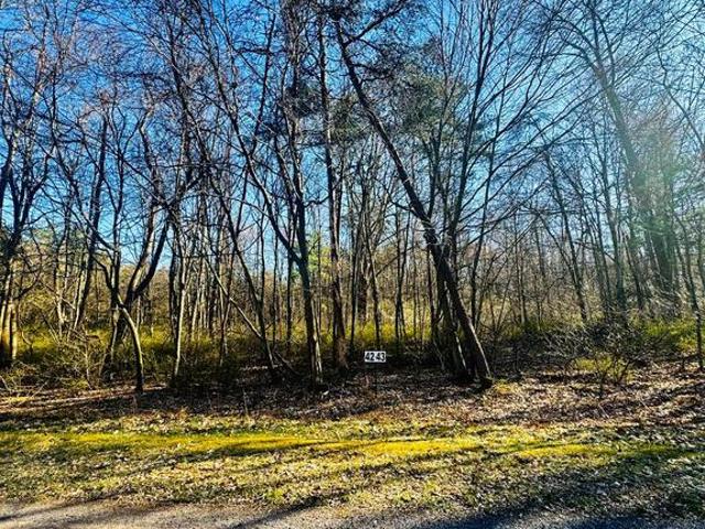 Lot: 43 Paradise Point