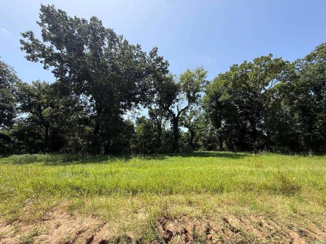 Lot 43 Up River
