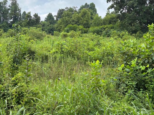 Lot 44 Coral Lane
