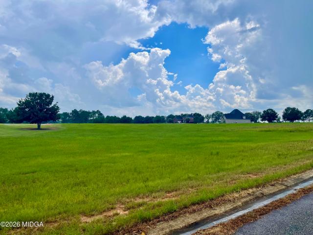 Lot 44 Crabapple Dr, Hawkinsville, GA 31036 | MLS #182654
