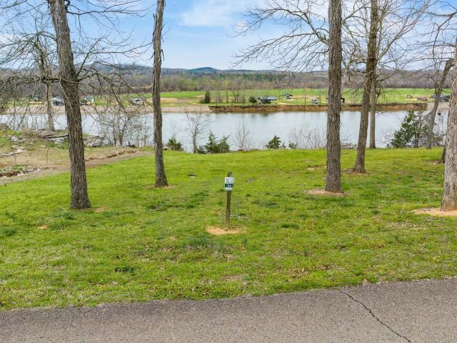Lot 44 adam loop