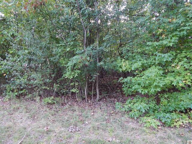 Lot 44 Forest Lane