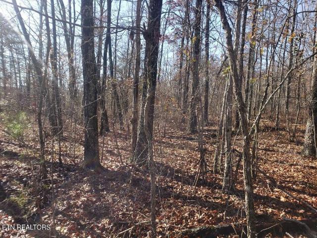 Lot 44 Hemlock Lane