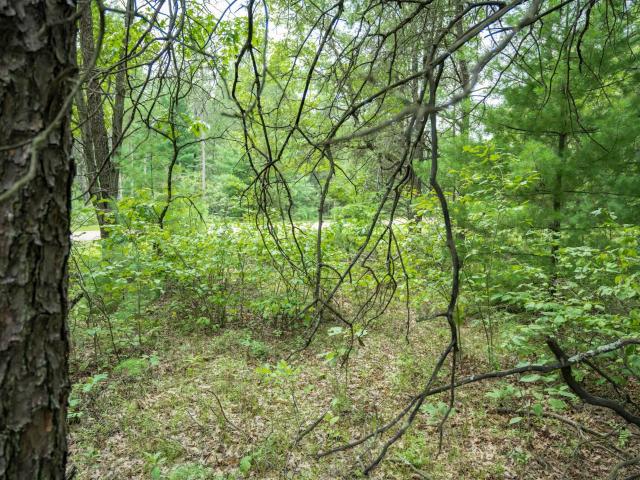 Lot 44 Morros Mile Road
