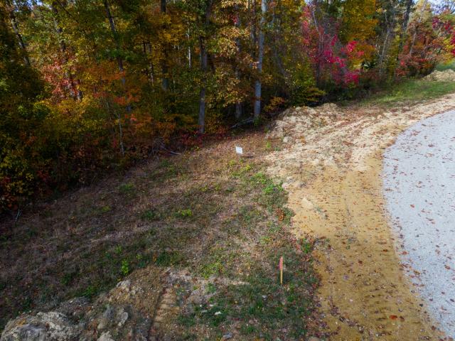 Lot 44 Spring Branch Hollow Road