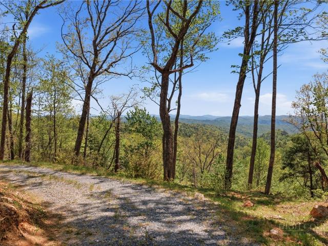 Lot 44 Wildcat Wilderness Parkway
