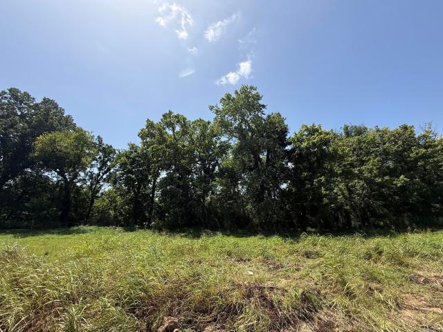 Lot 44 Up River