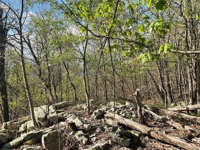 Lot 44A Mountain Top Rd
