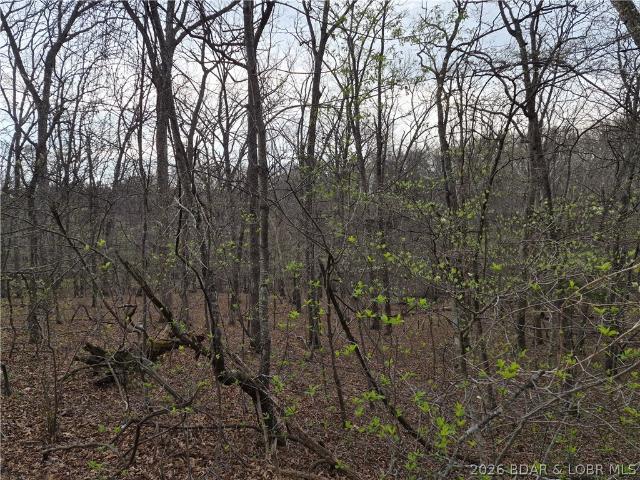Lot 456 Cambridge Drive