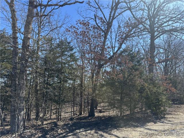 Lot 453 Linn Creek Rd, Four Seasons, MO 65049 | MLS #3574 | Compass