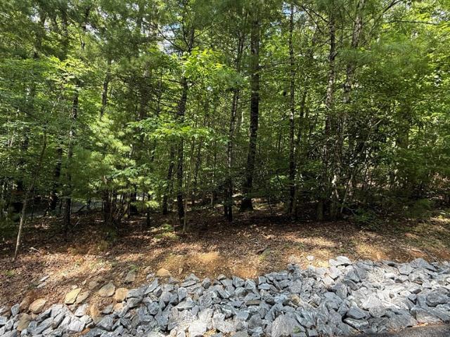 Lot 45 Granite Drive
