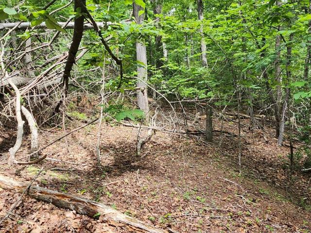 Lot 45 Southern View Trail