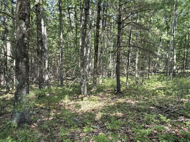Lot 45 Soose Way