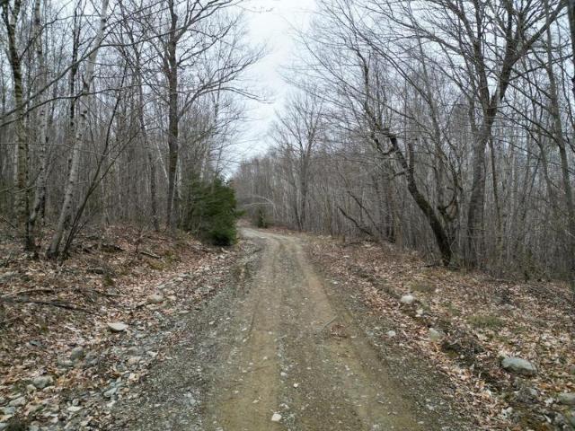 Lot 45 Scraggly Lake Road, Springfield, ME 04487 MLS# 1590603