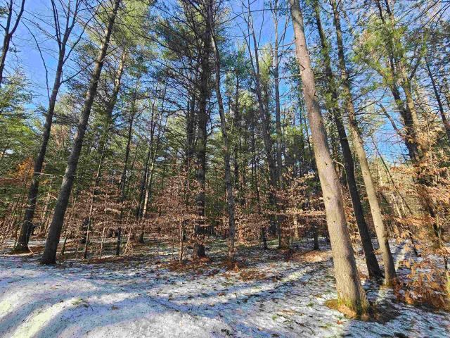 Lot 45 Woodwind Drive
