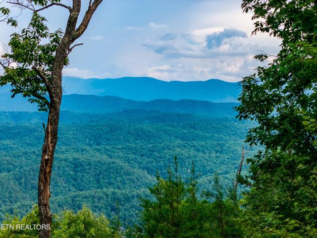 Lot 45 Tower Rd, Tallassee, TN 37878