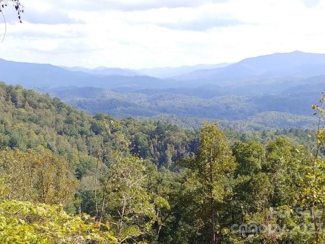 Lot 45 Thomas Divide Way