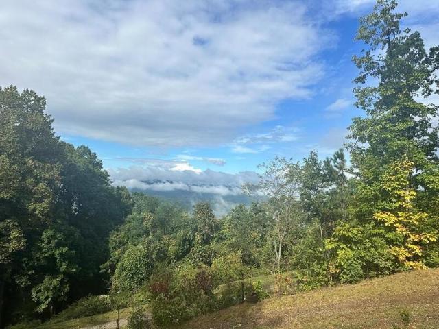 Lot 45 Timberwood Dr. 45, murphy, nc 28906